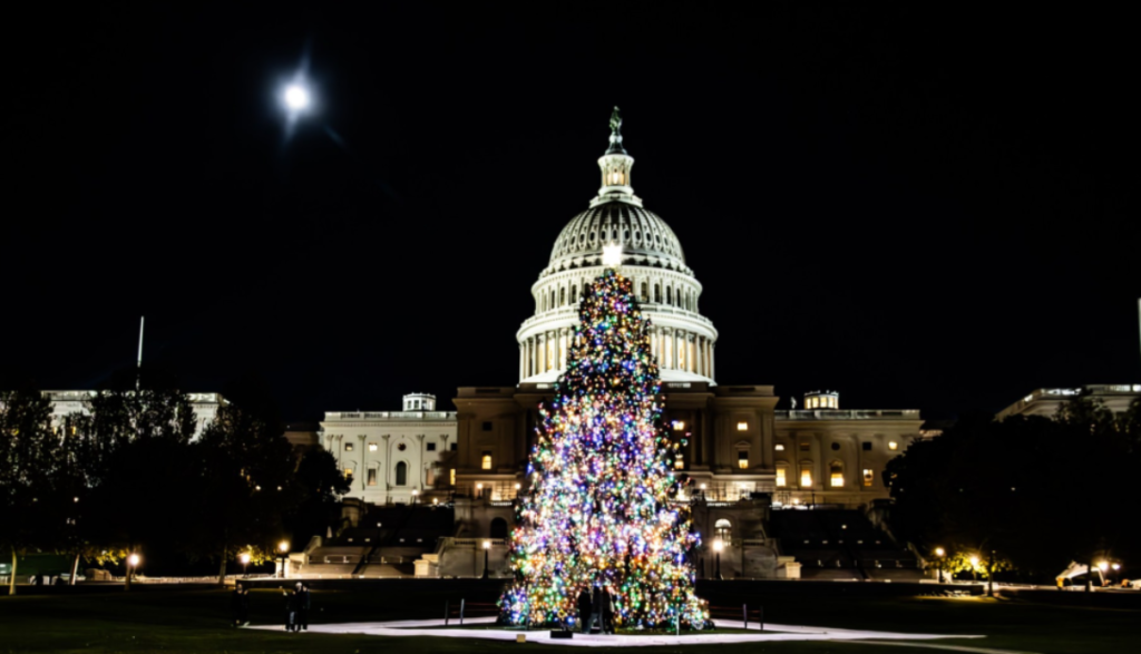 Discovering the Origin of the Christmas Tree: Tradition and History ...