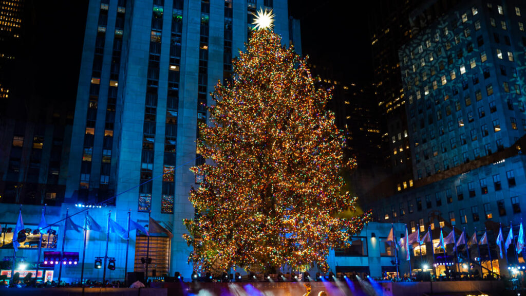 Discovering the Origin of the Christmas Tree: Tradition and History ...
